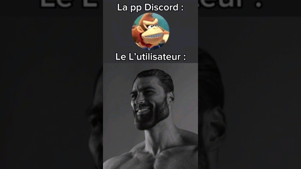 Les pp Discord - YouTube