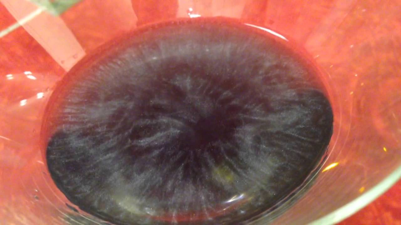 Vinique Liqueur: It has magic in it - YouTube