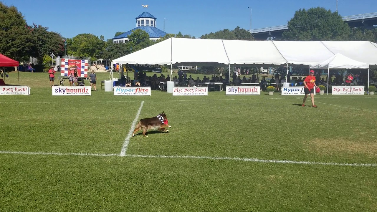 Remix, Kat and Jack Fahle - Skyhoundz World Finals Pairs Freestyle 2019 ...