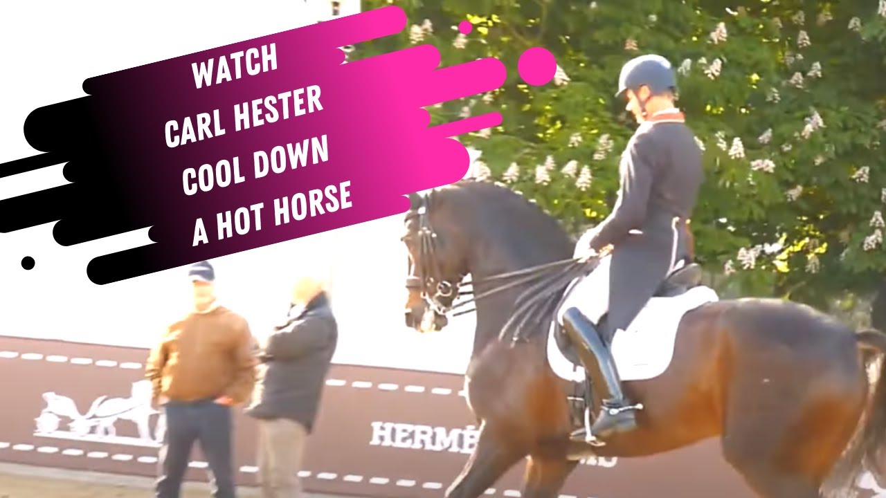 Watch Carl Hester Ride A Hot Horse In The Grand Prix Dressage Warm Up ...