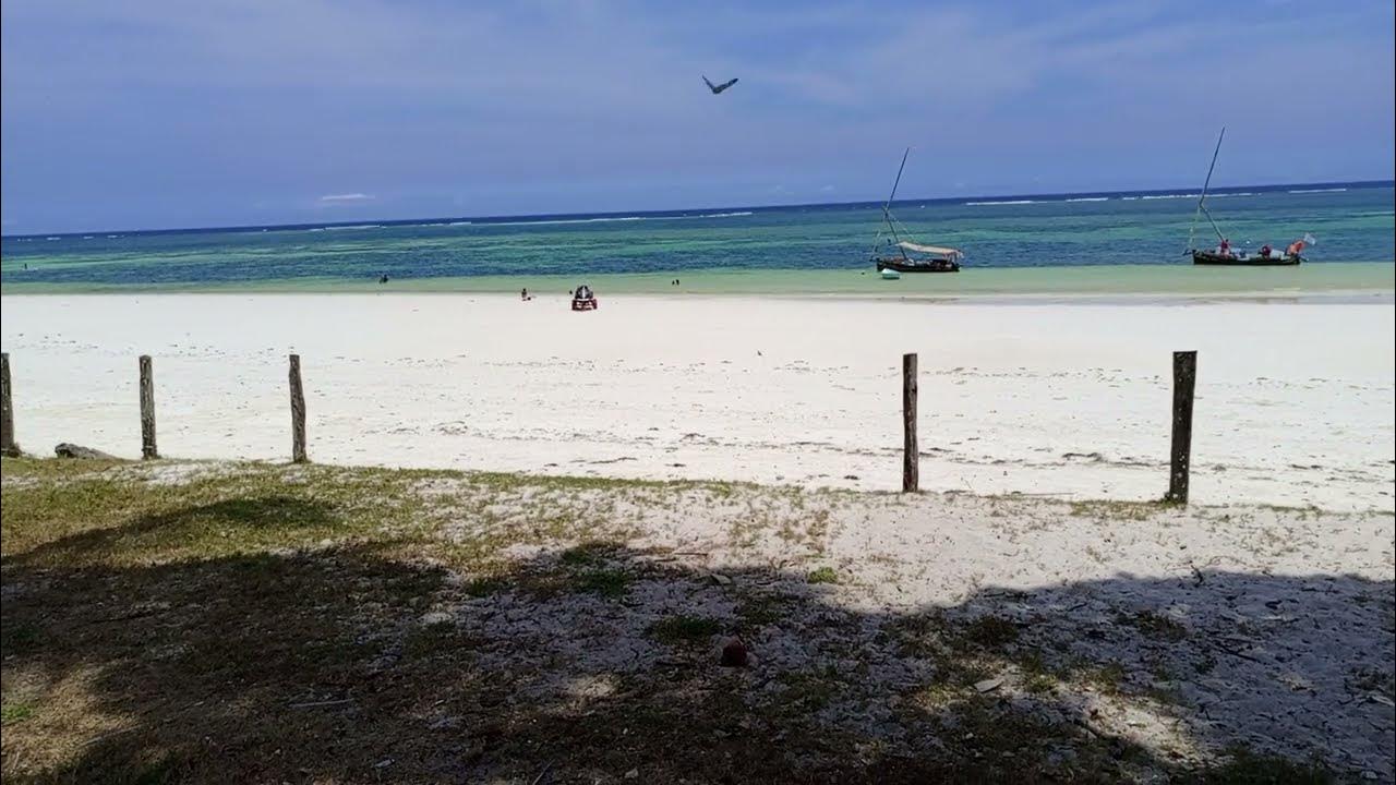 The Relaxing Sites And Sounds Of Diani Beach Kenya With Migrating Butterflies Unedited Youtube