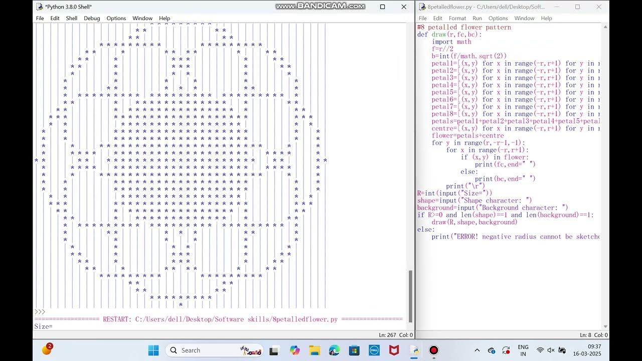 How To Print An 8 Petalled Flower Pattern In Python Without Using Any 