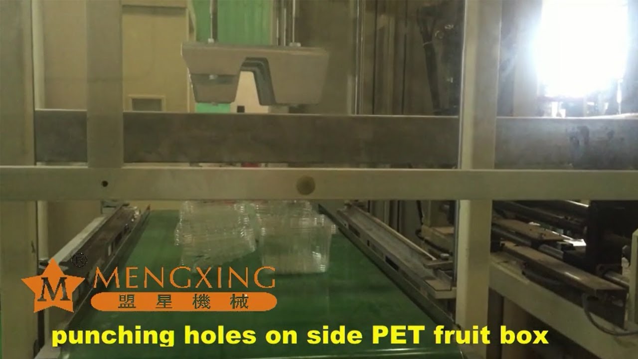 Fruit Box Making Machine - YouTube