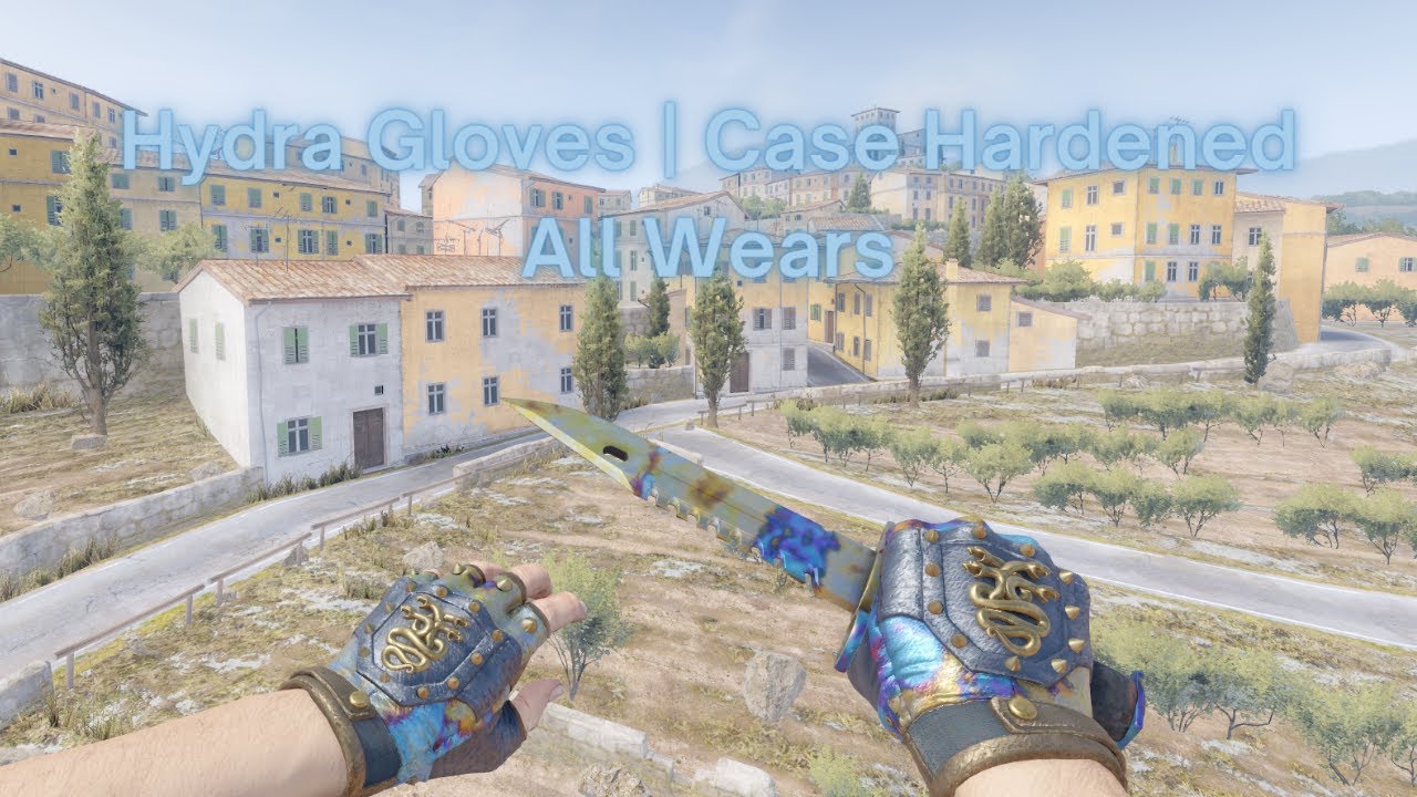 Hydra Gloves | Case Hardened All Wears (CS2) - YouTube