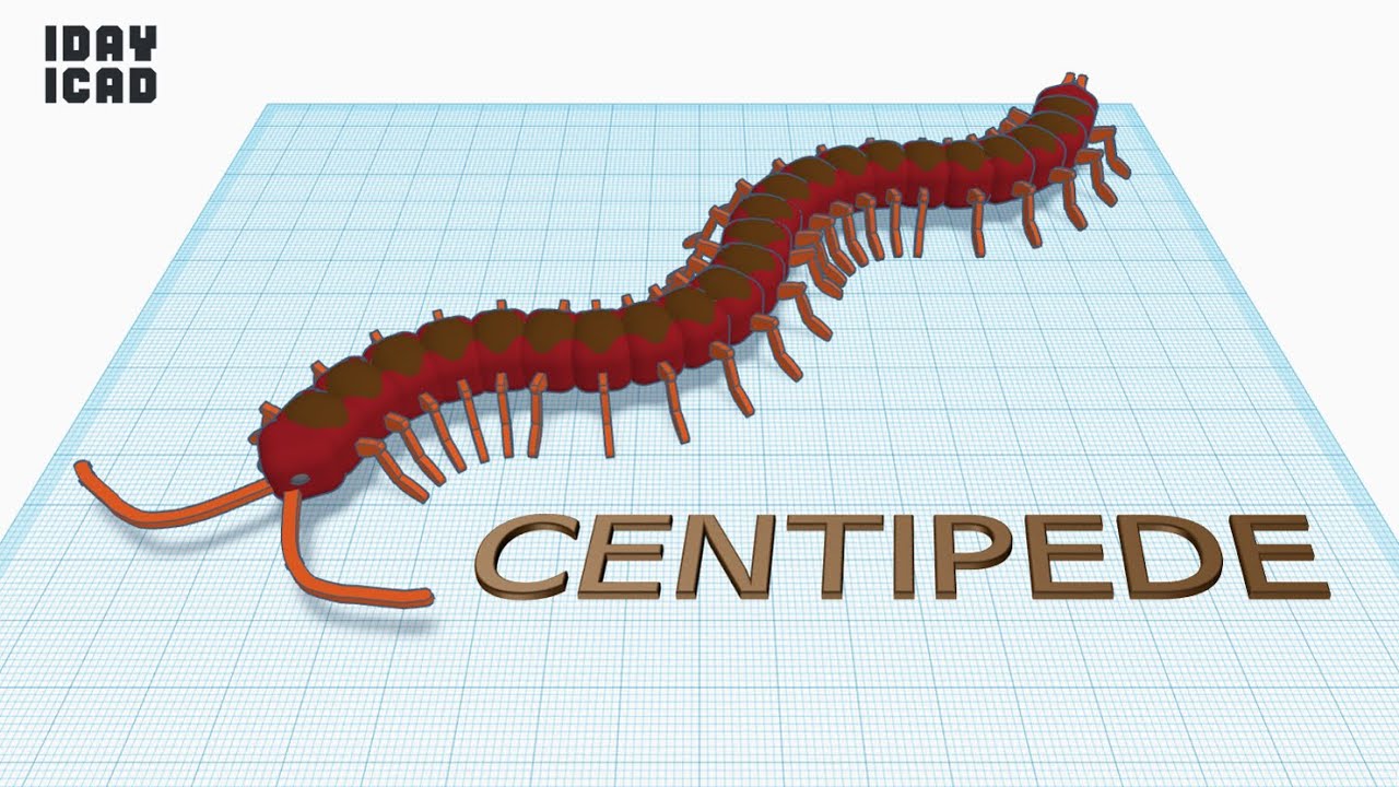 [1DAY_1CAD] CENTIPEDE (Tinkercad : Know-how / Style / Education) - YouTube