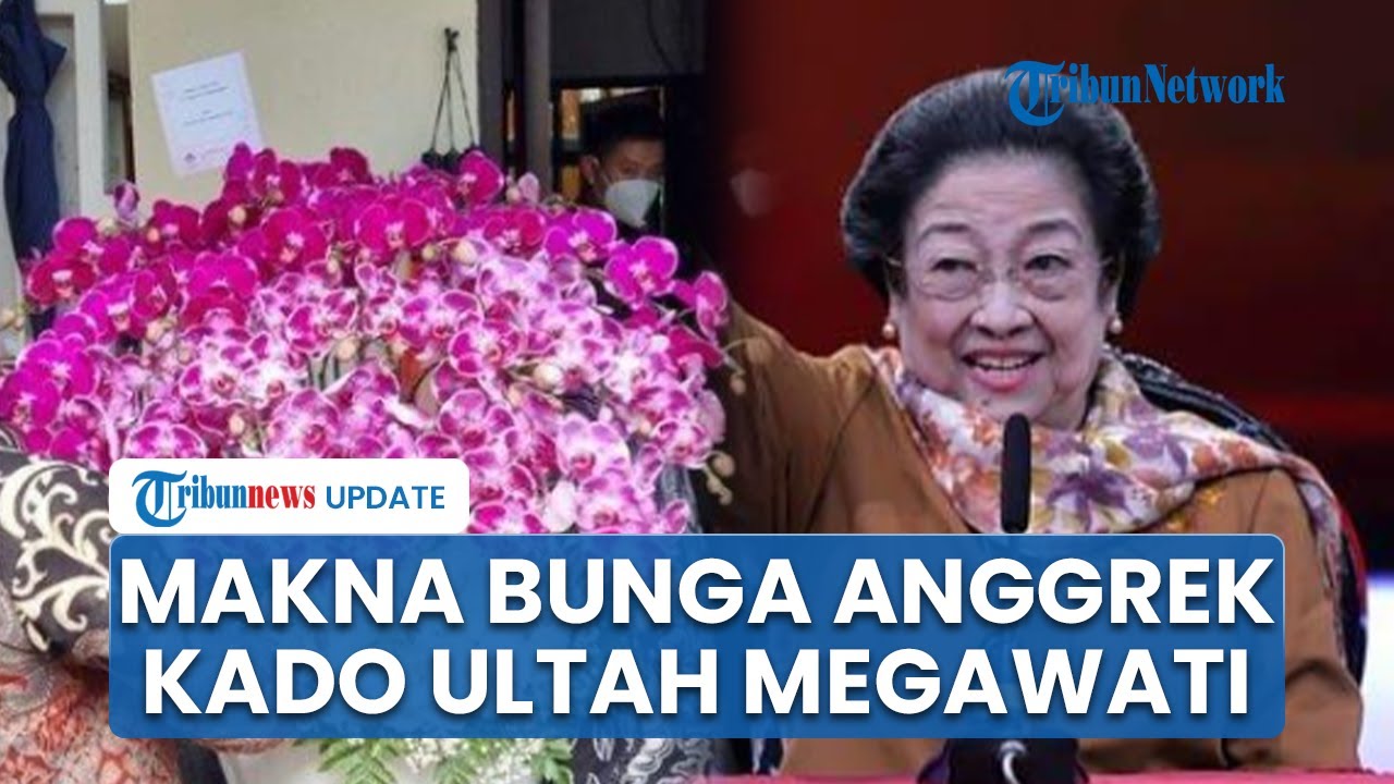 Terungkap Makna Bunga Anggrek yang Dikirim Prabowo di Hari Ultah ...