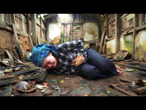 Kind Woman Gives a Single Mother an Abandoned House — Life Starts From Zero