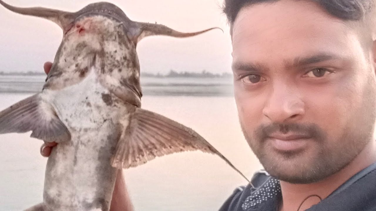 Gooch fish Hunting Ghaghra nadi up 60 Baghar fis hunting in India - YouTube