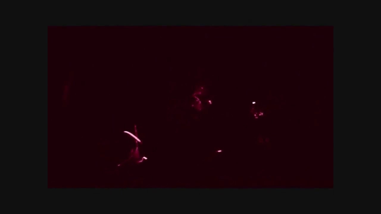 Haunted Lagoon Polynesian Cultural Center - YouTube