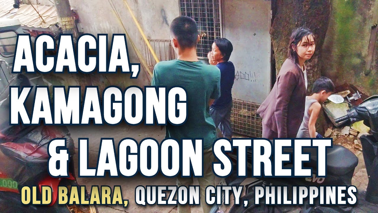 ACACIA, KAMAGONG & LAGOON STREET In Old Balara, Quezon City, Metro ...