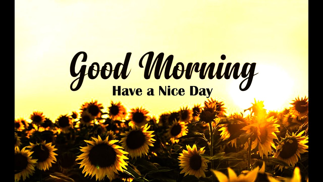 Human Rights Video You Have Rights No Matter Where You Go - YouTube