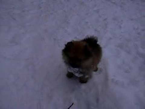 Snøprinsesse