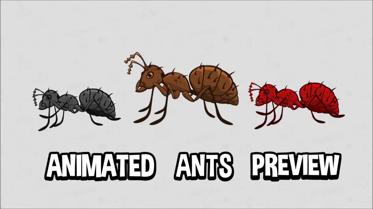 ant animation preview - YouTube