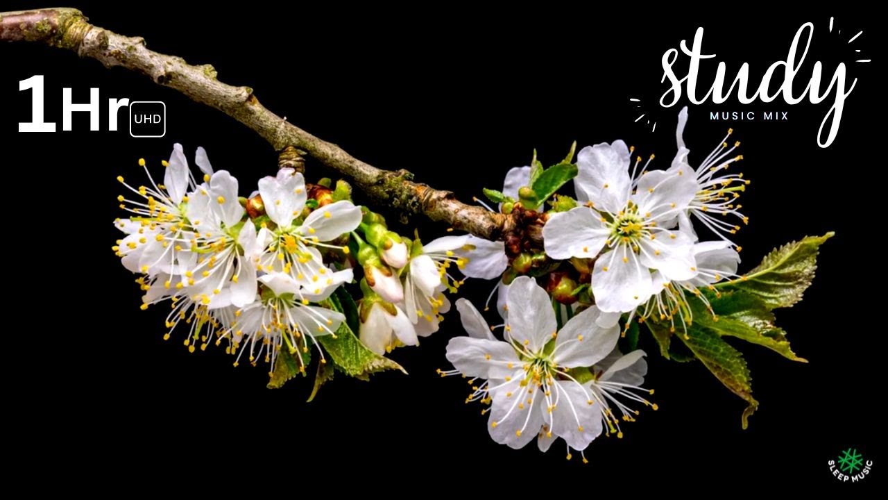 Beautiful Flowers - Planet Earth Amazing Nature Scenery & The Best ...