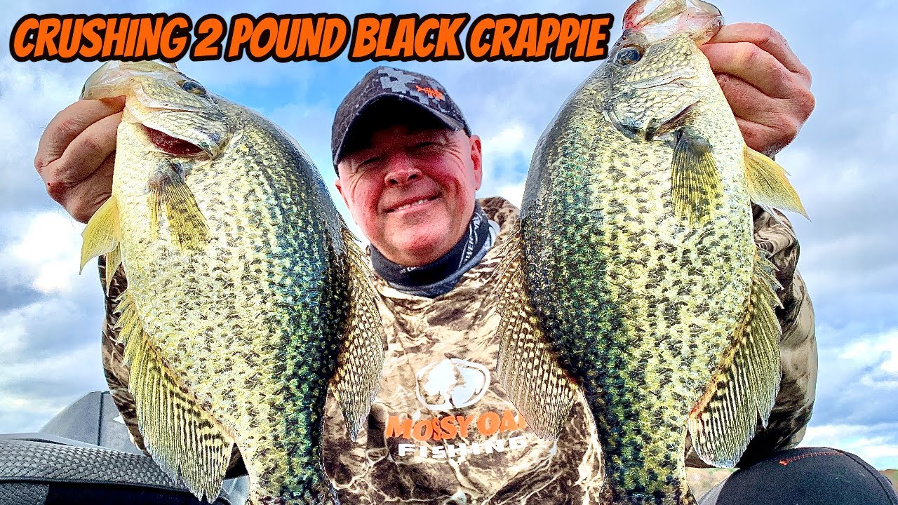 CRUSHING 2 POUND BLACK CRAPPIE- Crappie Machine S1 - YouTube