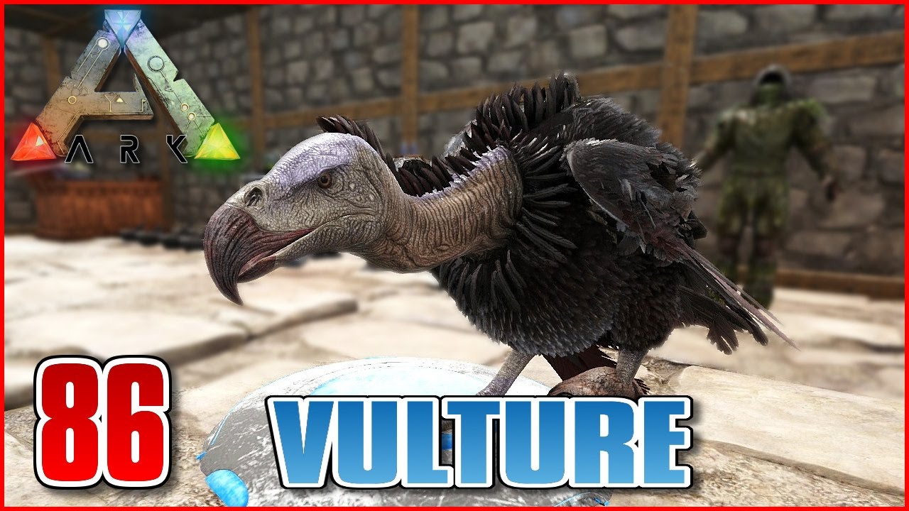 ARK Zoo #E86 - VULTURE & BROODMOTHER TAMING - Ark Survival Evolved ...