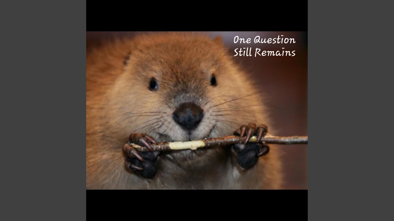 One Question Still Remains (Radio Edit) - YouTube