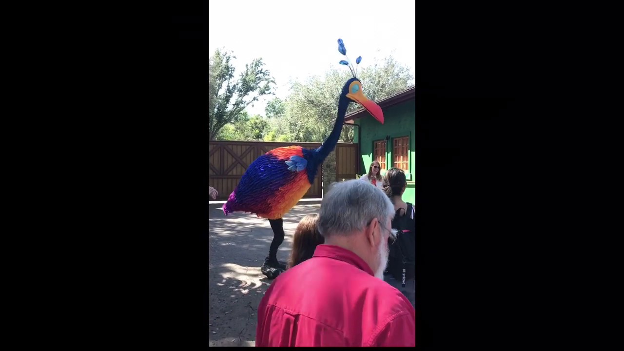 SNIPE! New Kevin Character Roaming Disney’s Animal Kingdom - YouTube