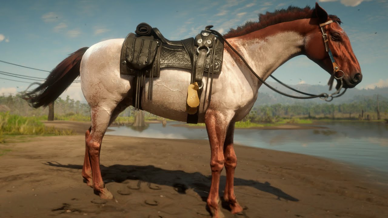 CABALLO DEADPOOL | RED DEAD REDEMPTION 2 - YouTube