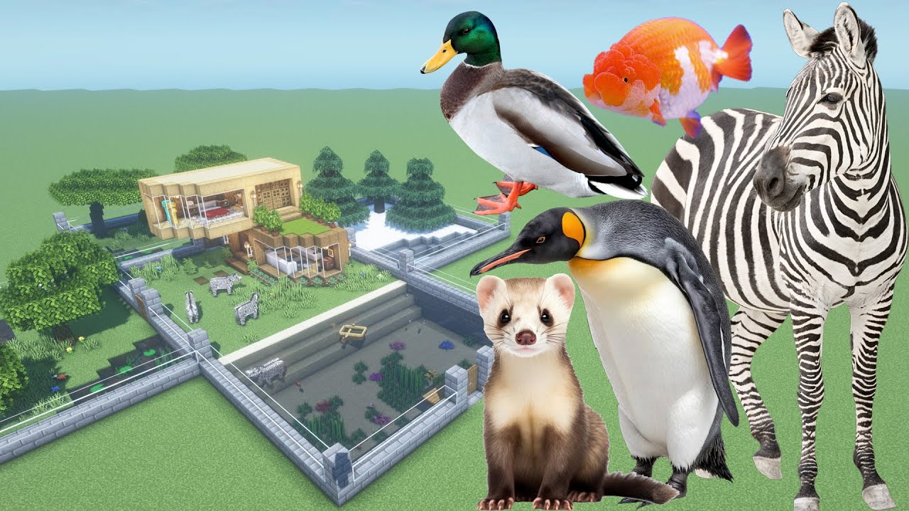 How To Make a Duck, Penguin, Ferret, Goldfish, and Zebra Farm in ...
