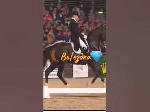 #конюшня #лошади #конныймир - YouTube