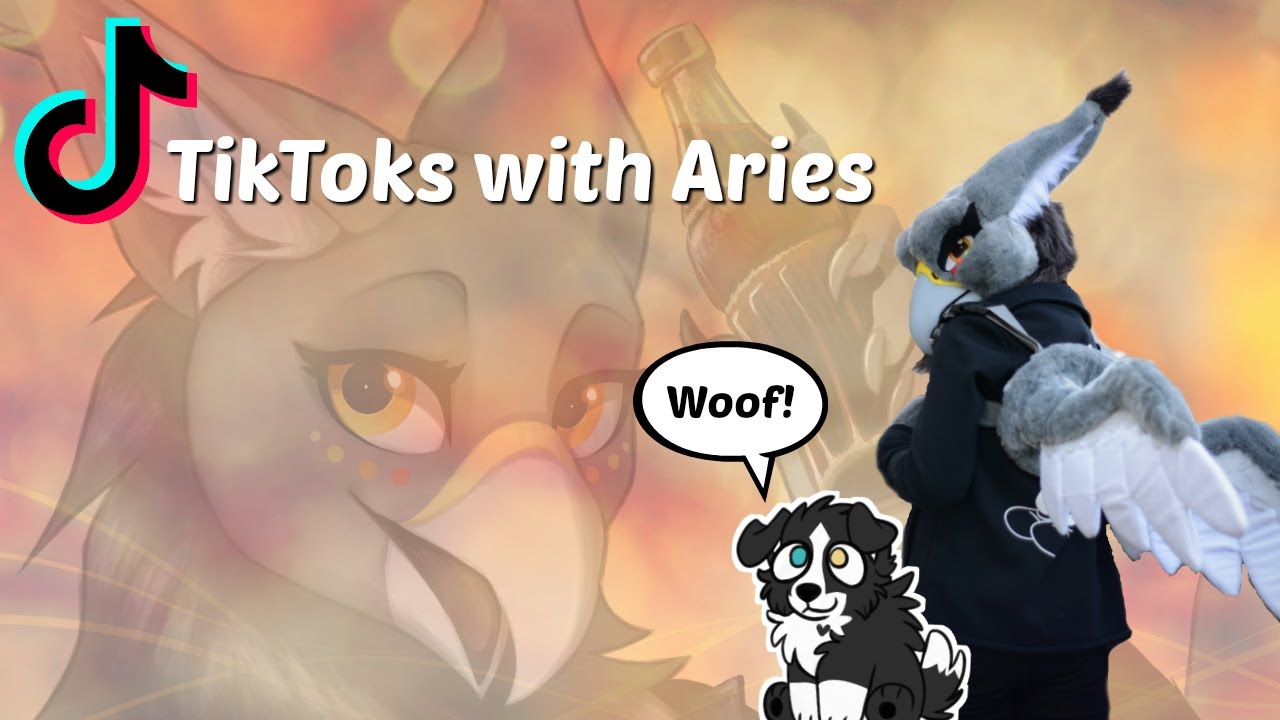 TikToks with Aries | Part 1 - YouTube