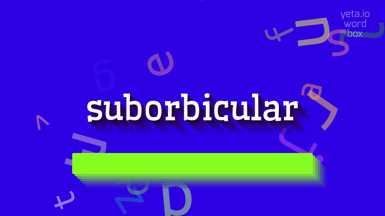 How to say "suborbicular"! (High Quality Voices) - YouTube