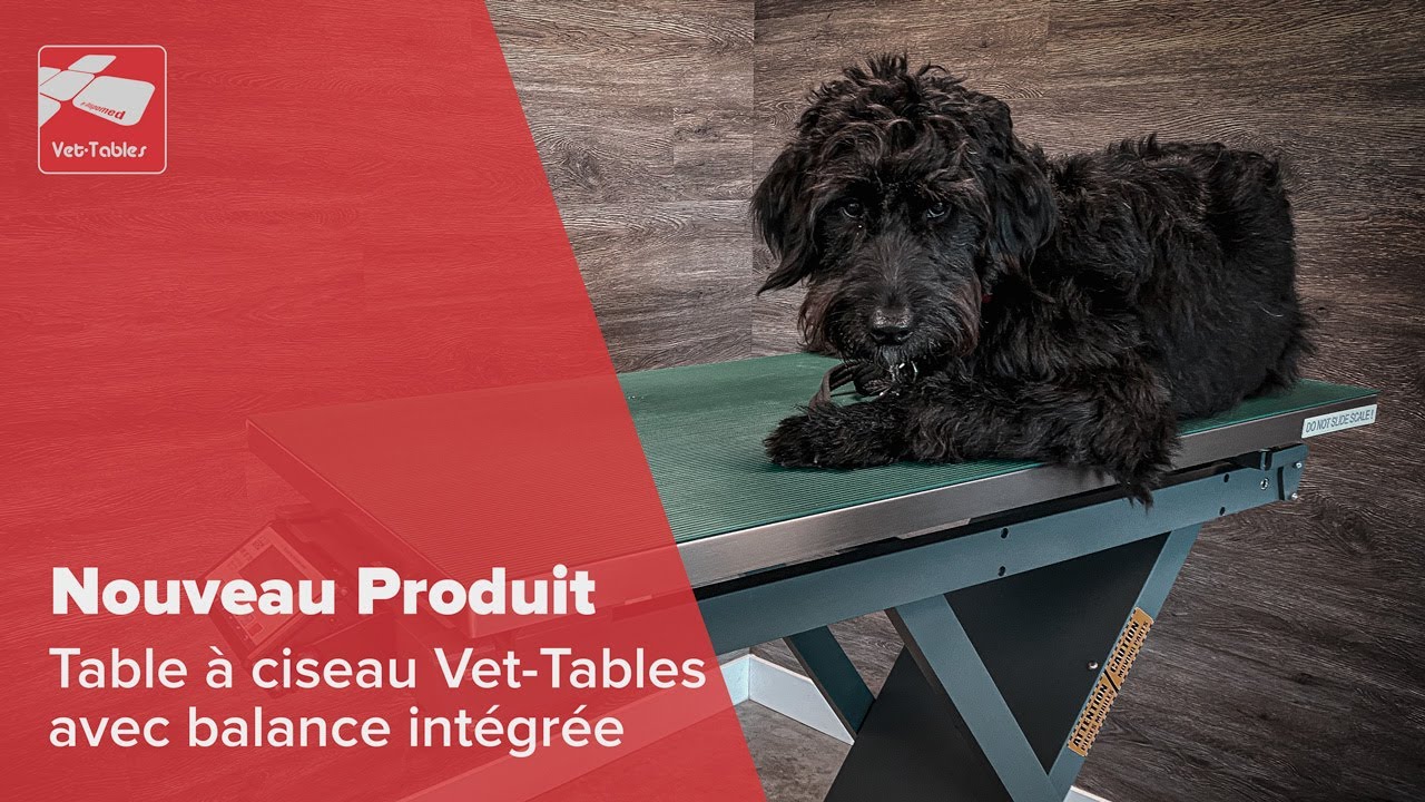 Table à ciseau Vet-Tables avec balance intégrée - YouTube