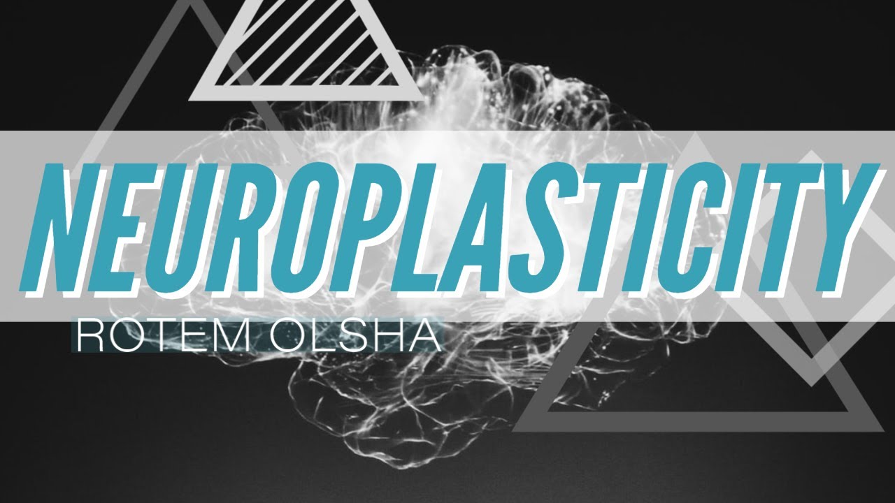 NEUROPLASTICITY EXPLAINED - YouTube