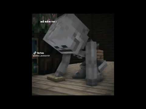 Tổng hợp tiktok wither × skeleton siêu siêu hay