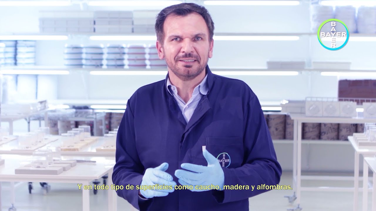 Maxforce de Bayer - YouTube