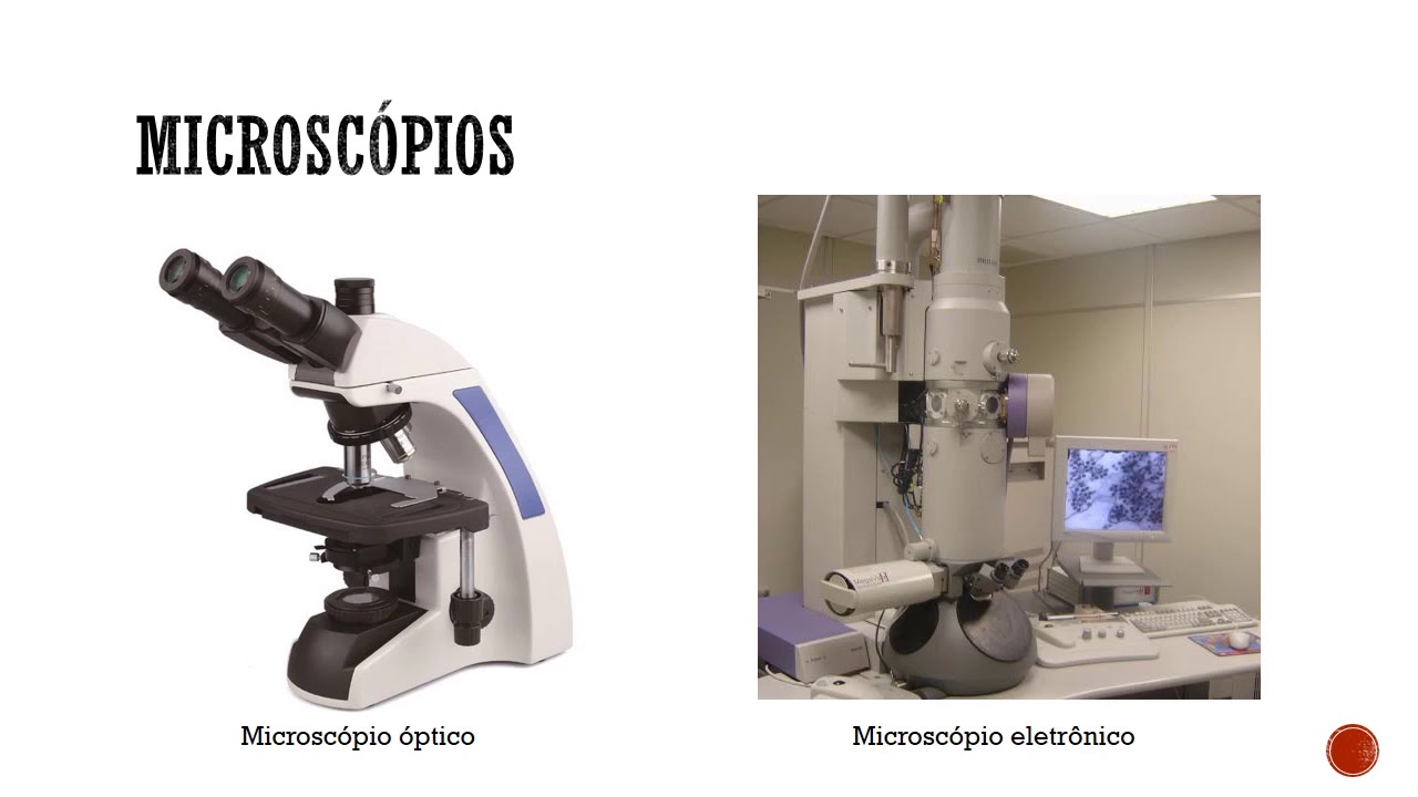Microscópio Célula - YouTube