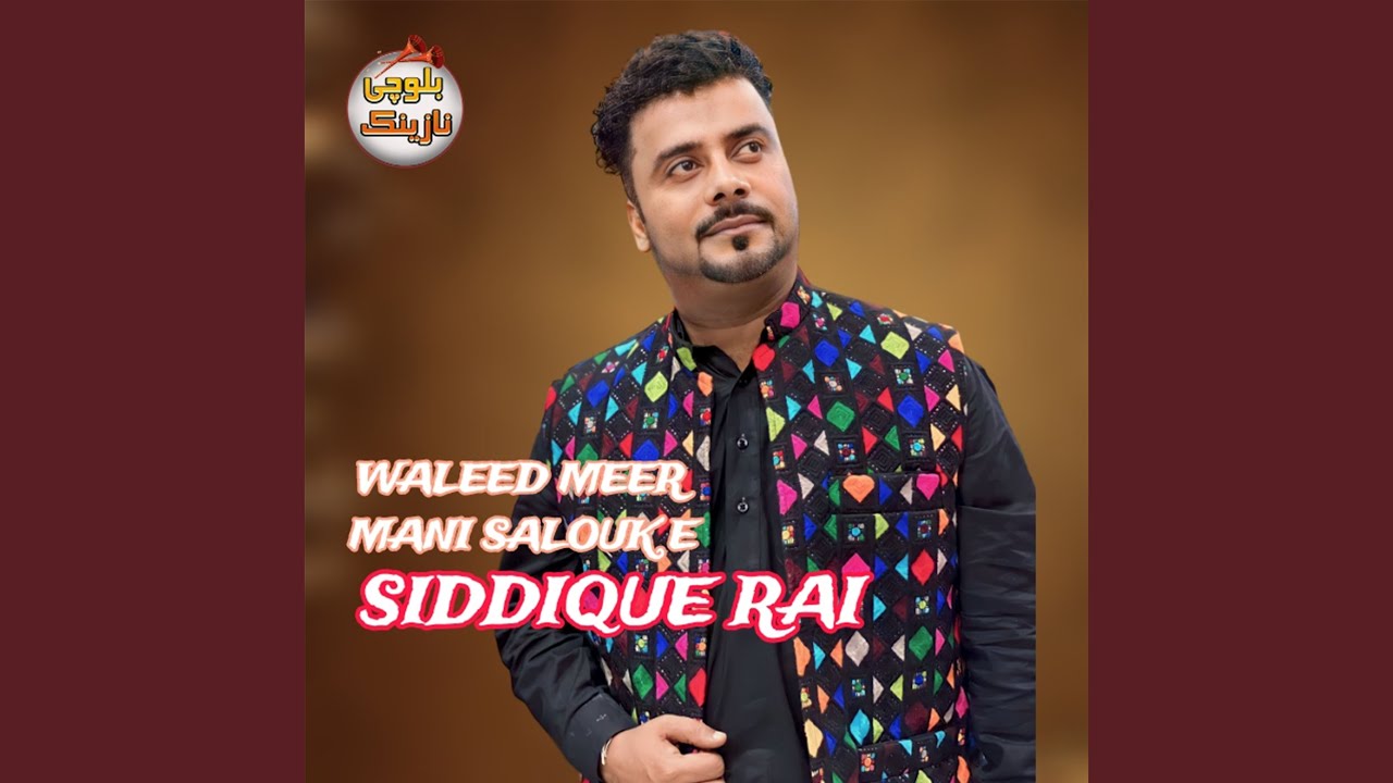 Waleed Meer Mani Salouk E - YouTube