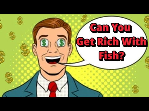 How to make money from Aquarium Fish - YouTube