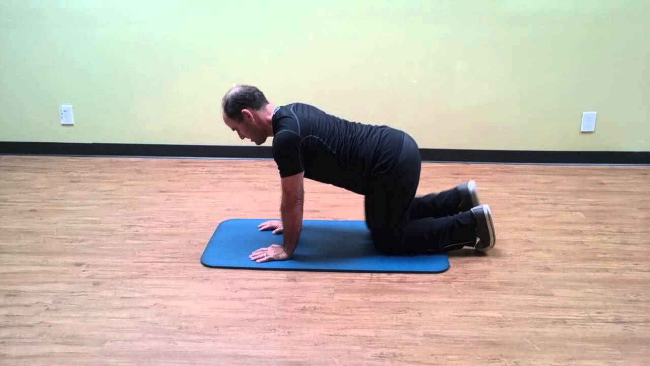 Modified Bird Dog Legs Only - YouTube