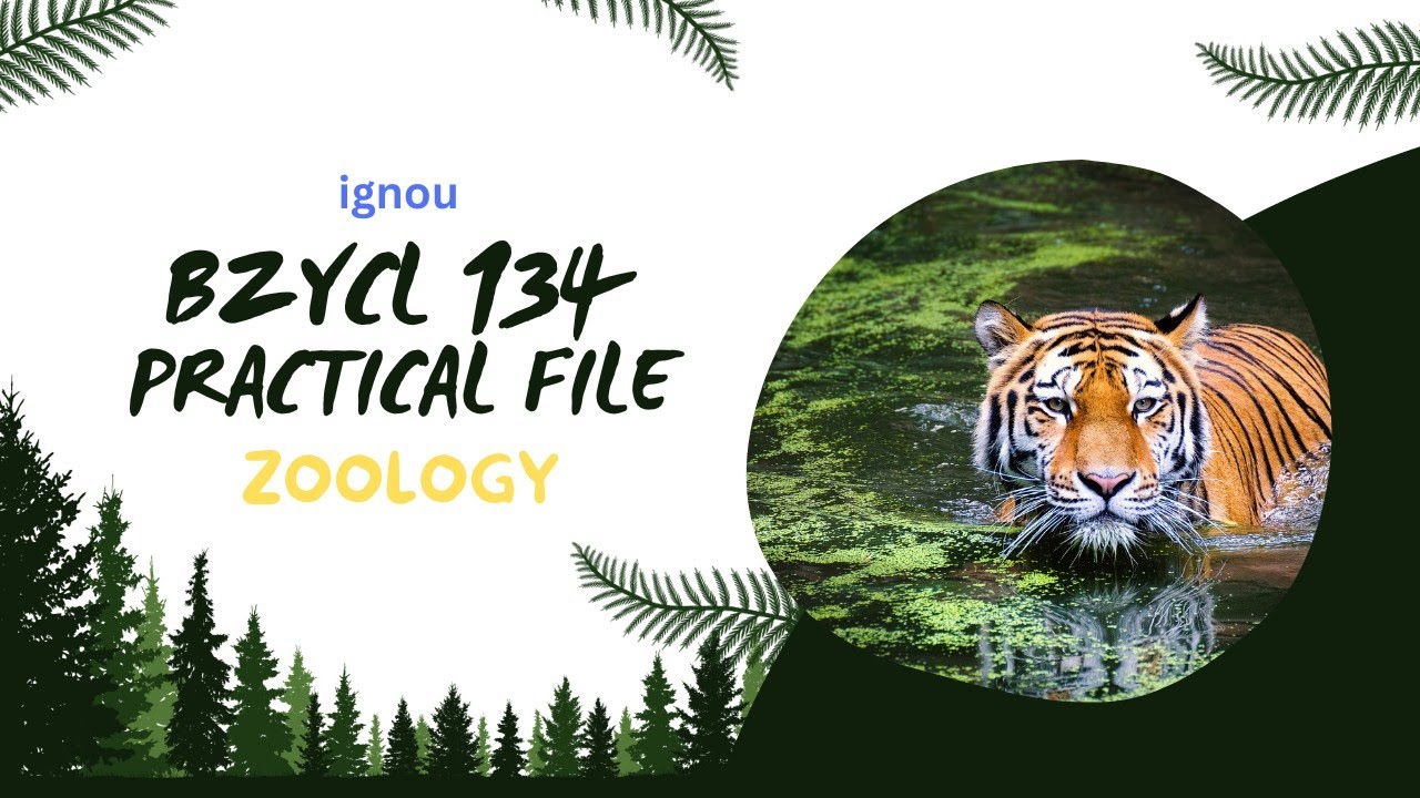BZYCL 134 PRACTICAL FILE l IGNOU I ZOOLOGY l BSCG - YouTube