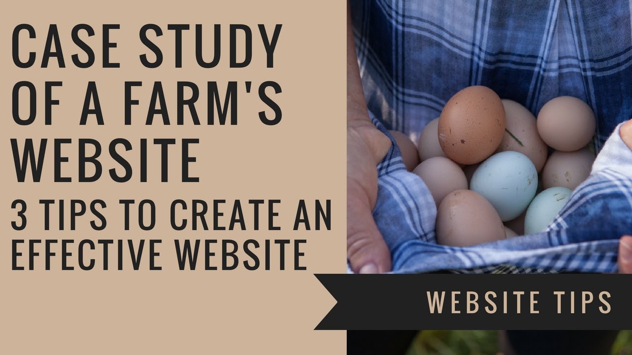 Website Case Study: 3 Tips to a Farm Website that Drives More Sales ...