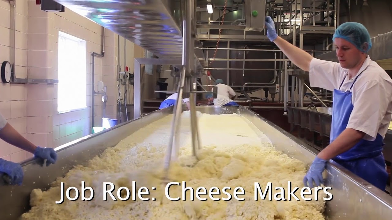 Amazing Cheese Factory Workers and Machines Working on Another Level ...