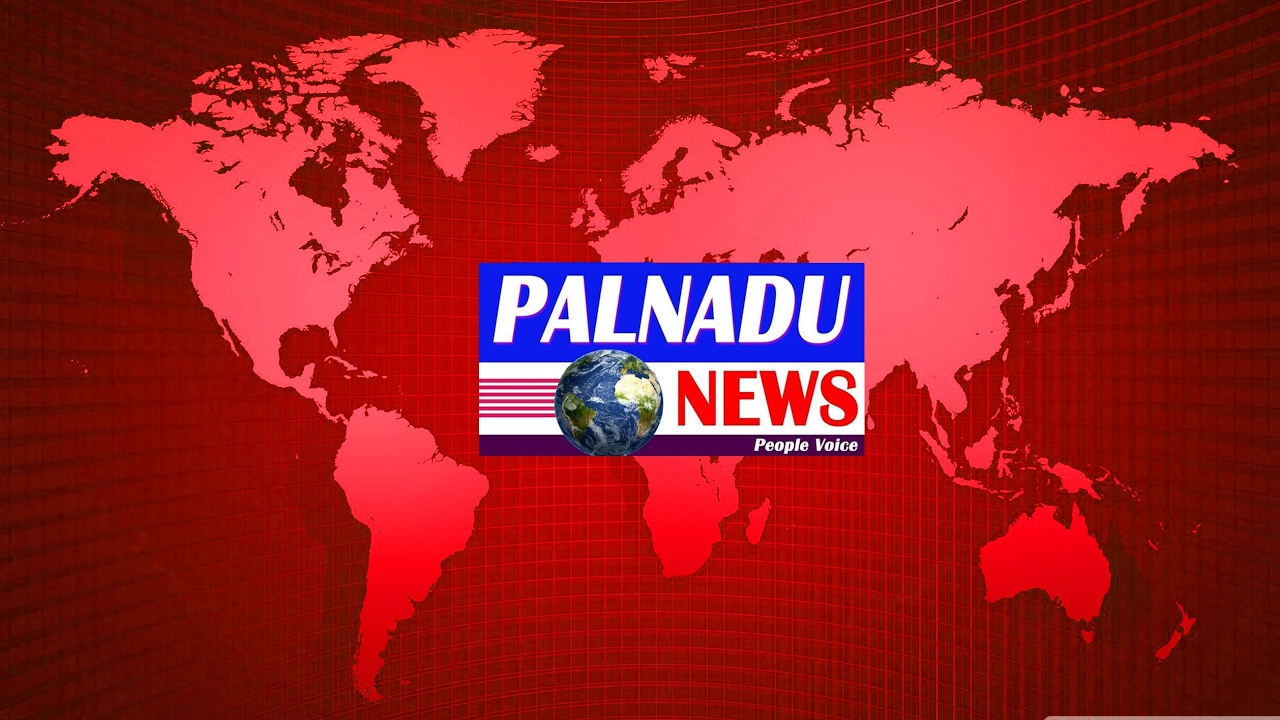 Palnadu News Live Stream - YouTube