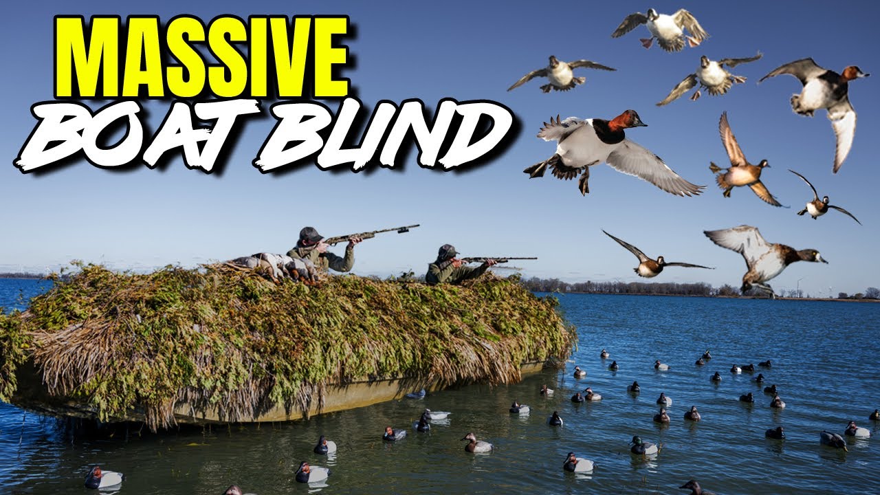 7 SPECIES FROM A MASSIVE BOAT BLIND!! (DIVER DUCK HUNTING BIG WATER ...