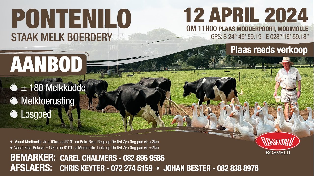 Pontenilo - Staak Melk Boerdery - YouTube