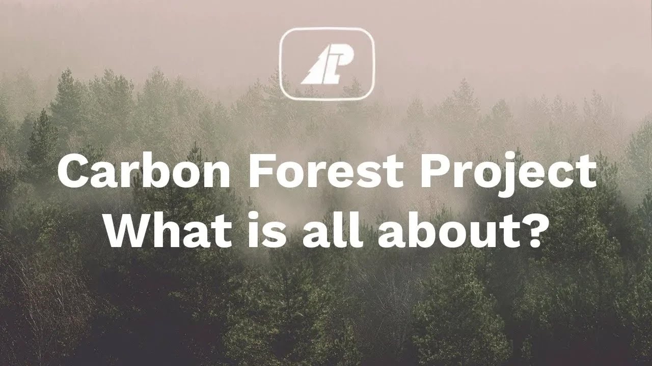 The Forest Carbon Project. What is all about? - YouTube
