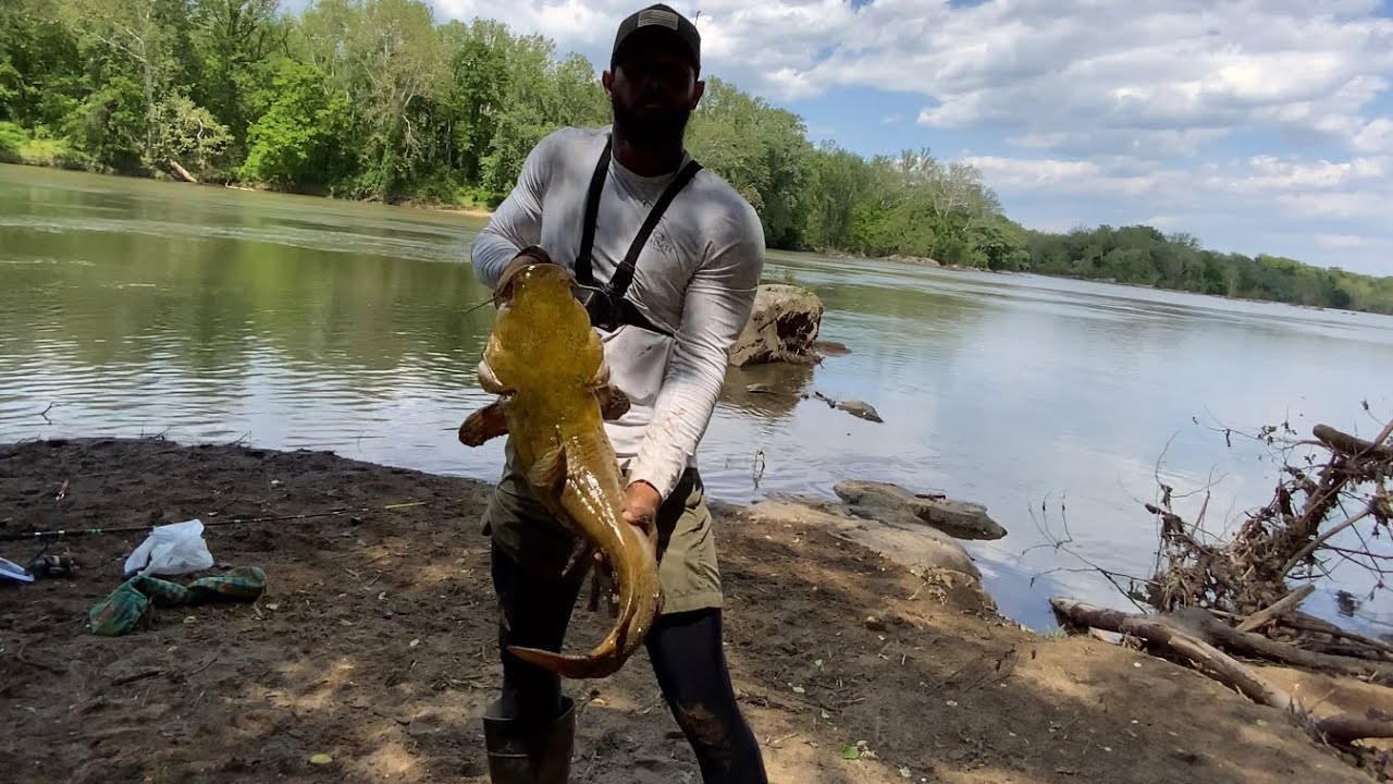 🚨N’SANE DAY FISHING FOR MULTI SPIECES CATFISH🤯🚨 - YouTube