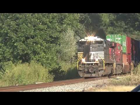 NS #1226 leads CPKC I169-16 through Delhi, LA - YouTube