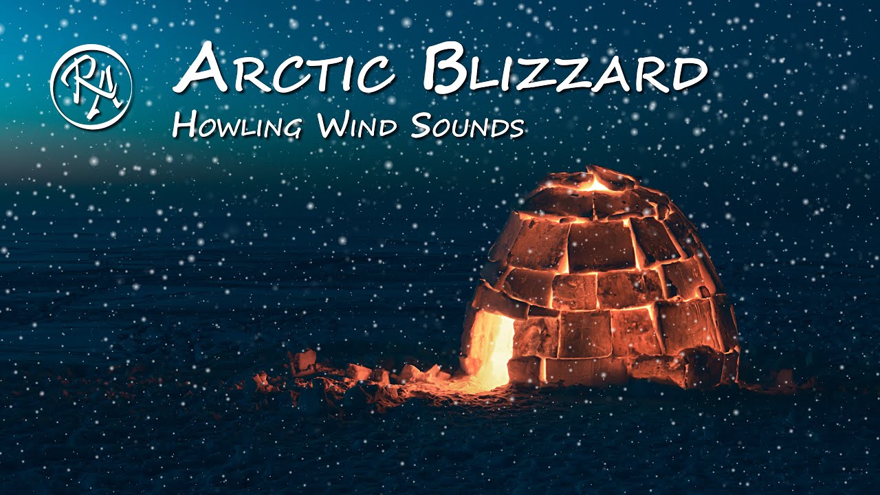 Arctic Blizzard | Winter Storm Ambience With Icy Howling Wind Sounds ...