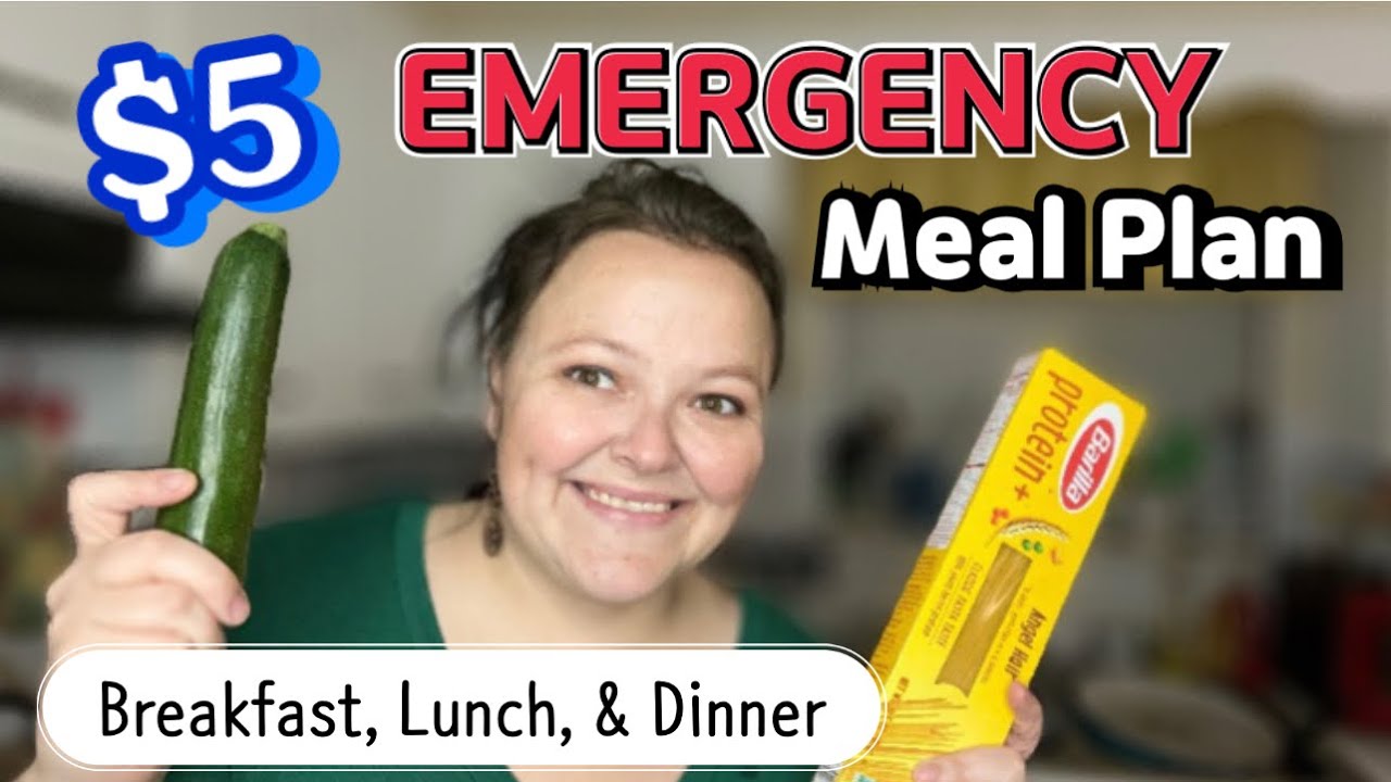 *NEW* $5 EMERGENCY Meal Plan || Feed Your Family During Hard Times ...