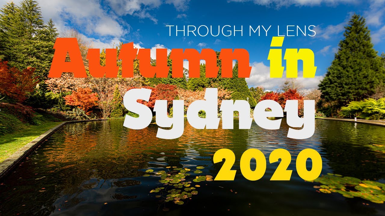 Autumn in Sydney 2020 - YouTube