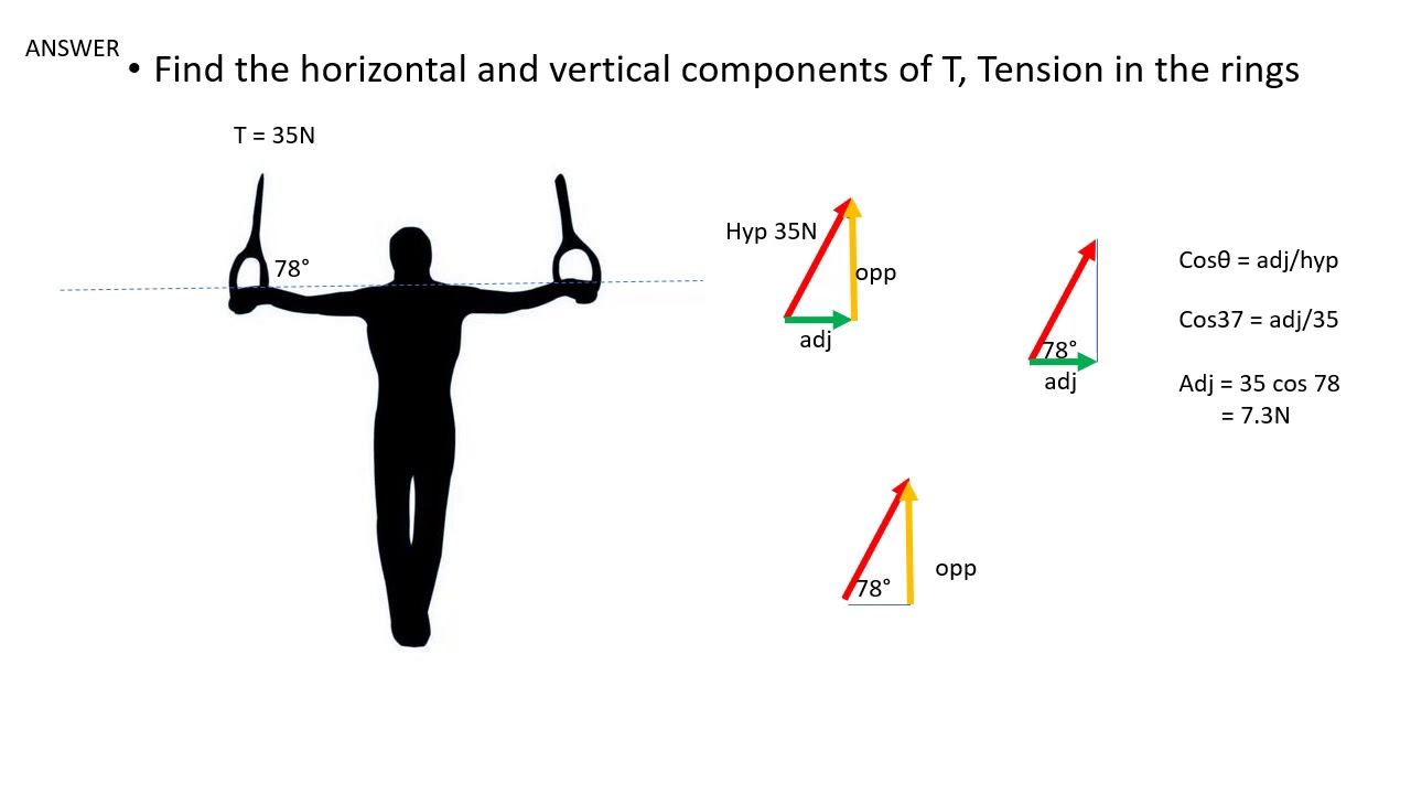 Vector Picture Questions with ANSWERS - YouTube