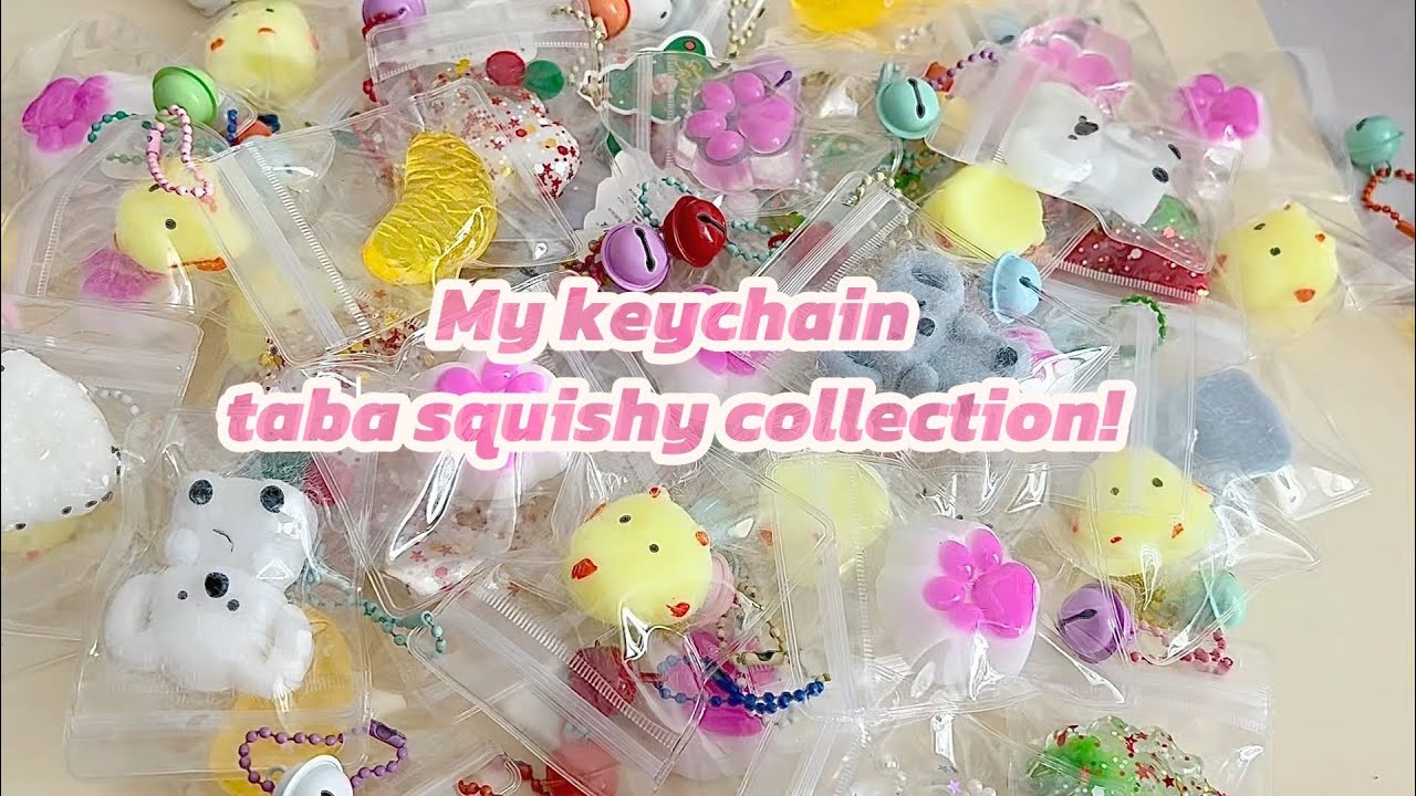 Squish Through My Keychain Taba Squishy Collection || Amy Squishy💕 ...