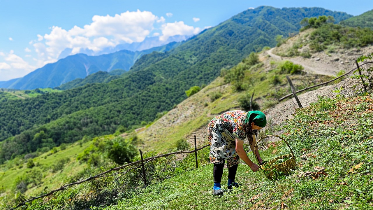 The Hard life of a Hermit Family in a Mountain village. Grazing Cattle ...